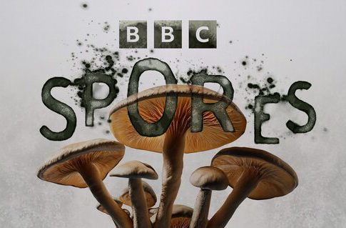 Spores - Hatch